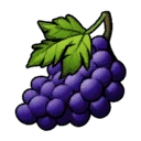 Sacred Grapes | VRising Wiki | Fandom