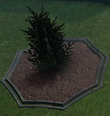 Pine Sapling | VRising Wiki | Fandom