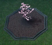 Cherry Blossom Sapling | VRising Wiki | Fandom
