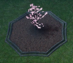 Cherry Blossom Sapling | VRising Wiki | Fandom