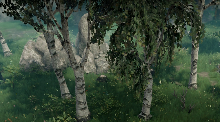 Birch Sapling | VRising Wiki | Fandom