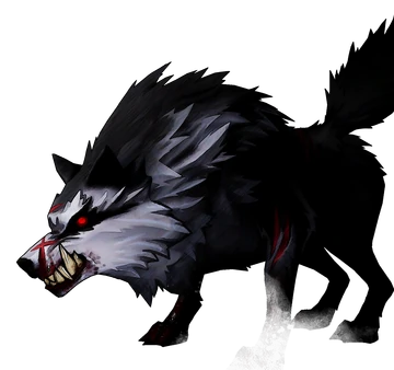 Anime Wolves Fighting For Alpha