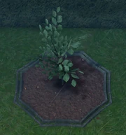 Apple Tree Sapling | VRising Wiki | Fandom