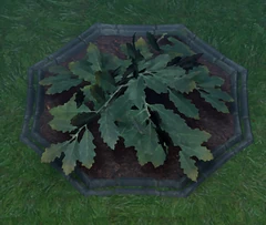 Oak Sapling | VRising Wiki | Fandom
