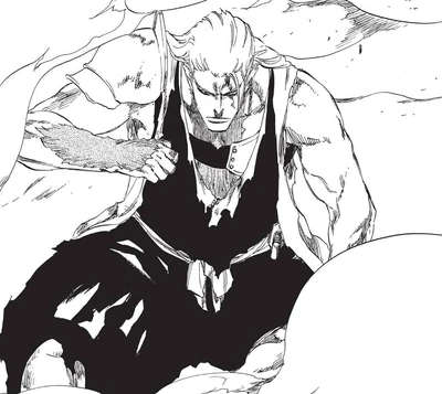 Sajin Komamura | VS Fights Wiki | Fandom
