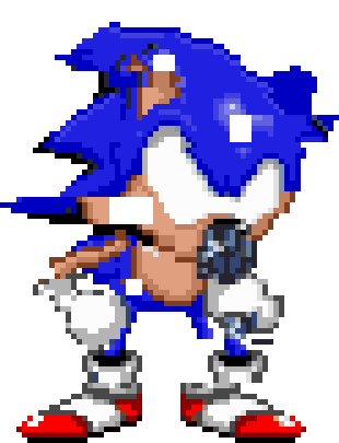 S0n1c | Vs. Sonic.exe Wiki | Fandom