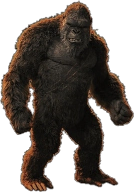 Kong (MonsterVerse) | VS Battles Wiki | Fandom