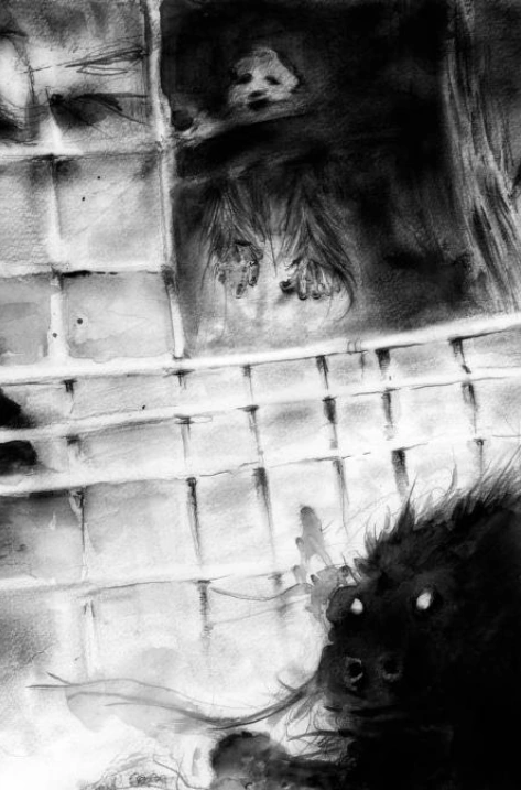 Psych Ward Patient (Nightmare Soup) | VS Battles Wiki | Fandom