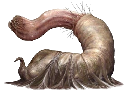 Carnictis | VS Battles Wiki | Fandom