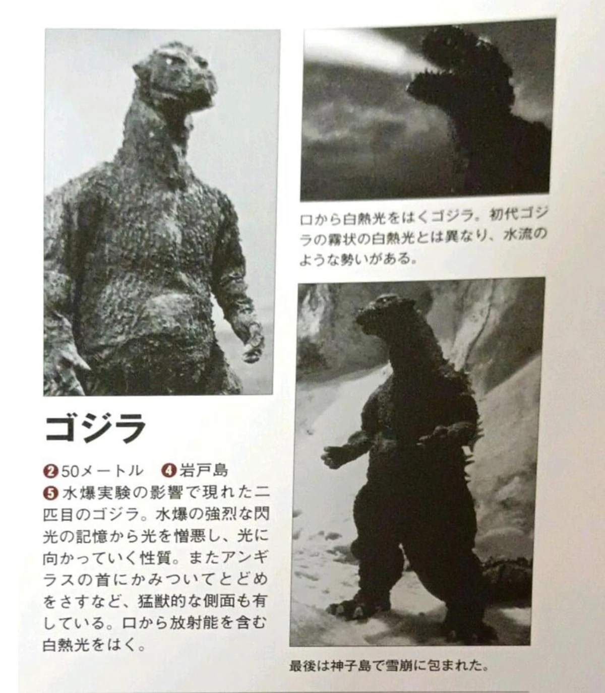User blog:WeaverRed/Godzilla Showa | VS Battles Wiki | Fandom