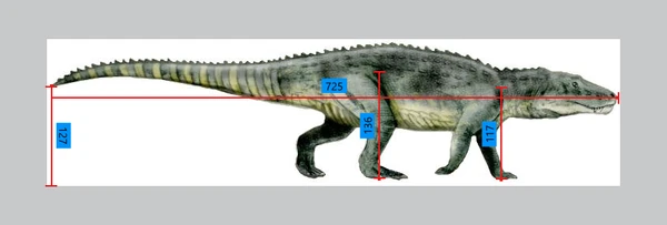 User blog:JohnGojira/Pseudosuchian apex predators, Traissic rulers ...