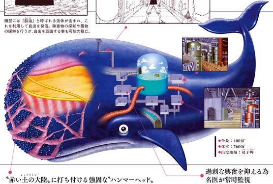 User blog:MonkeyOfLife/One Piece (Laboon) (Kinetic energy Calculation ...