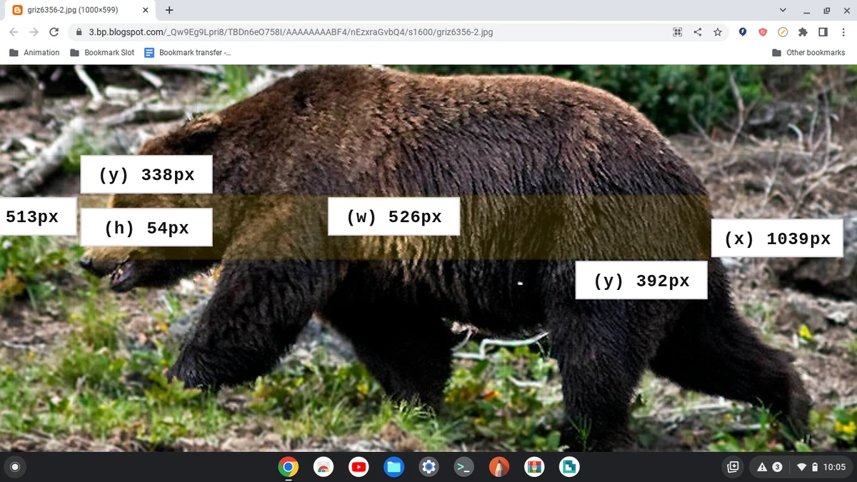 User blog:H3110l12345I20/IRL Major Animals AP Calcs | VS Battles Wiki ...