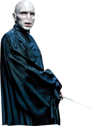 Voldemort | VS Battles Wiki | Fandom