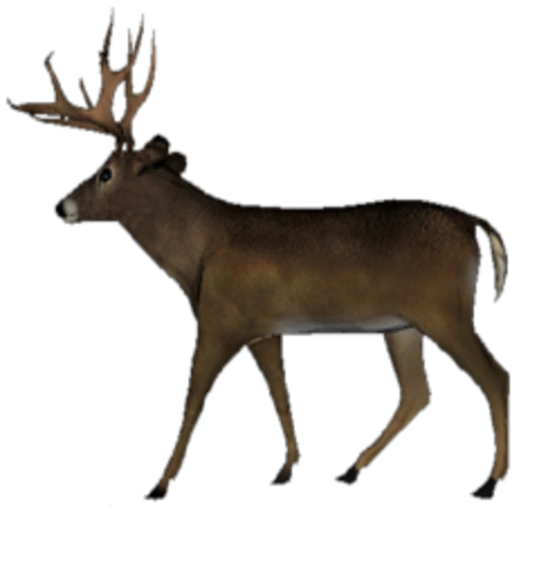 Deer (Deer Simulator) | VS Battles Wiki | Fandom