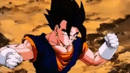 Vegito (Toei) | VS Battles Wiki | Fandom