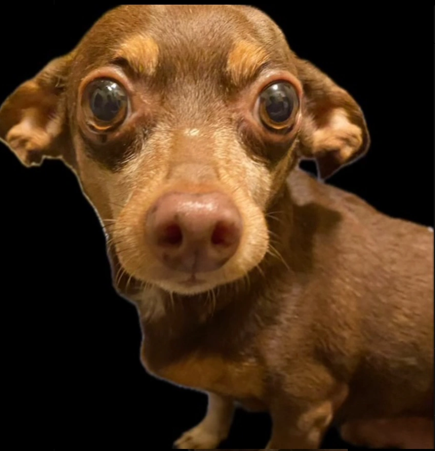 Profile Deletion Requests Thread (New forum) | Page 300 | VS Battles Wiki Forum