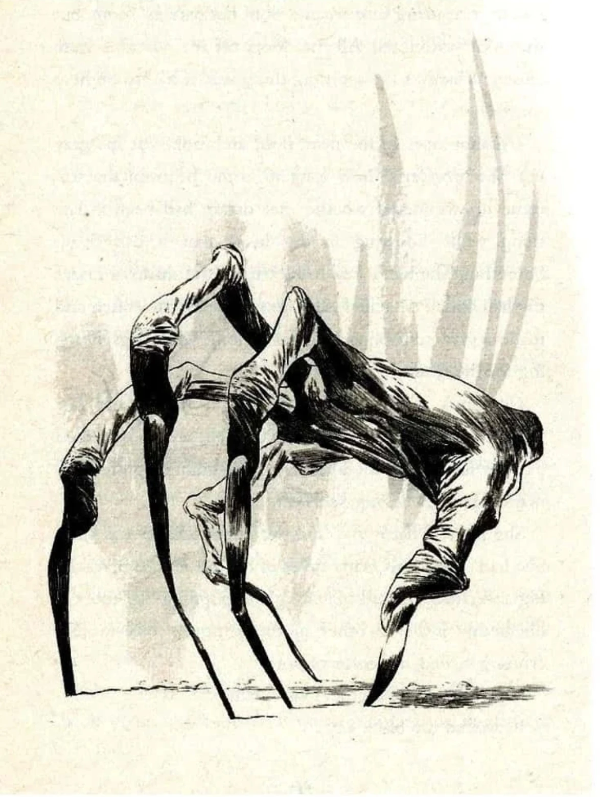 User blog:The Fiend888/Beldam (Coraline Book) | VS Battles Wiki | Fandom