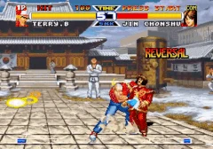 Terry Bogard (Fatal Fury) | VS Battles Wiki | Fandom