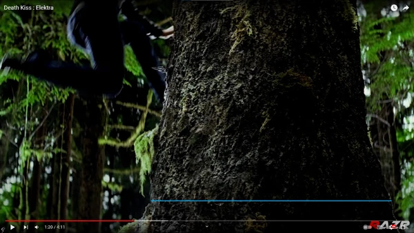 User blog:Aguywhodoesthings/Elektra: Stone damages a tree | VS Battles ...