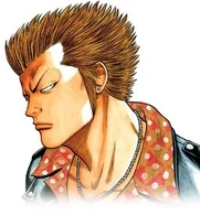 CrowsxWorst | VS Battles Wiki | Fandom