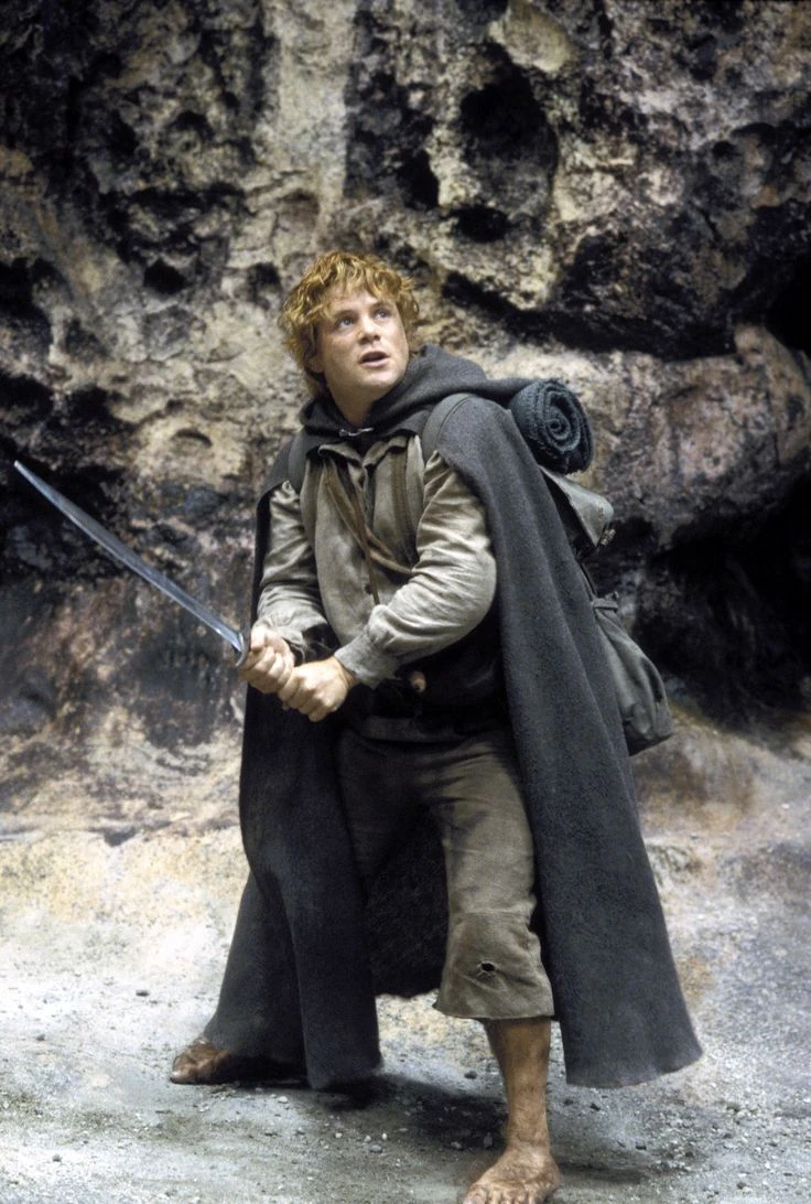 Samwise Gamgee | VS Battles Wiki | Fandom