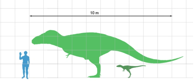 Tarbosaurus Size