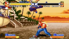 Terry Bogard (Fatal Fury) | VS Battles Wiki | Fandom