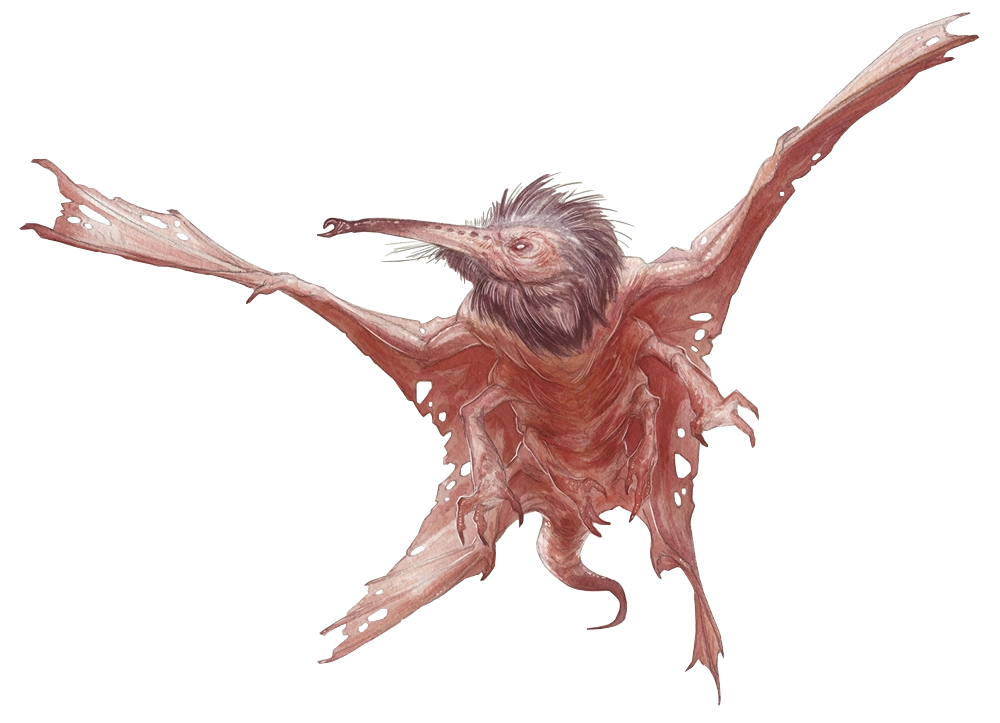 Stirge | VS Battles Wiki | Fandom