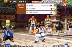 Blue Mary (Fatal Fury) | VS Battles Wiki | Fandom