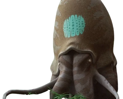 Megasquid | VS Battles Wiki | Fandom