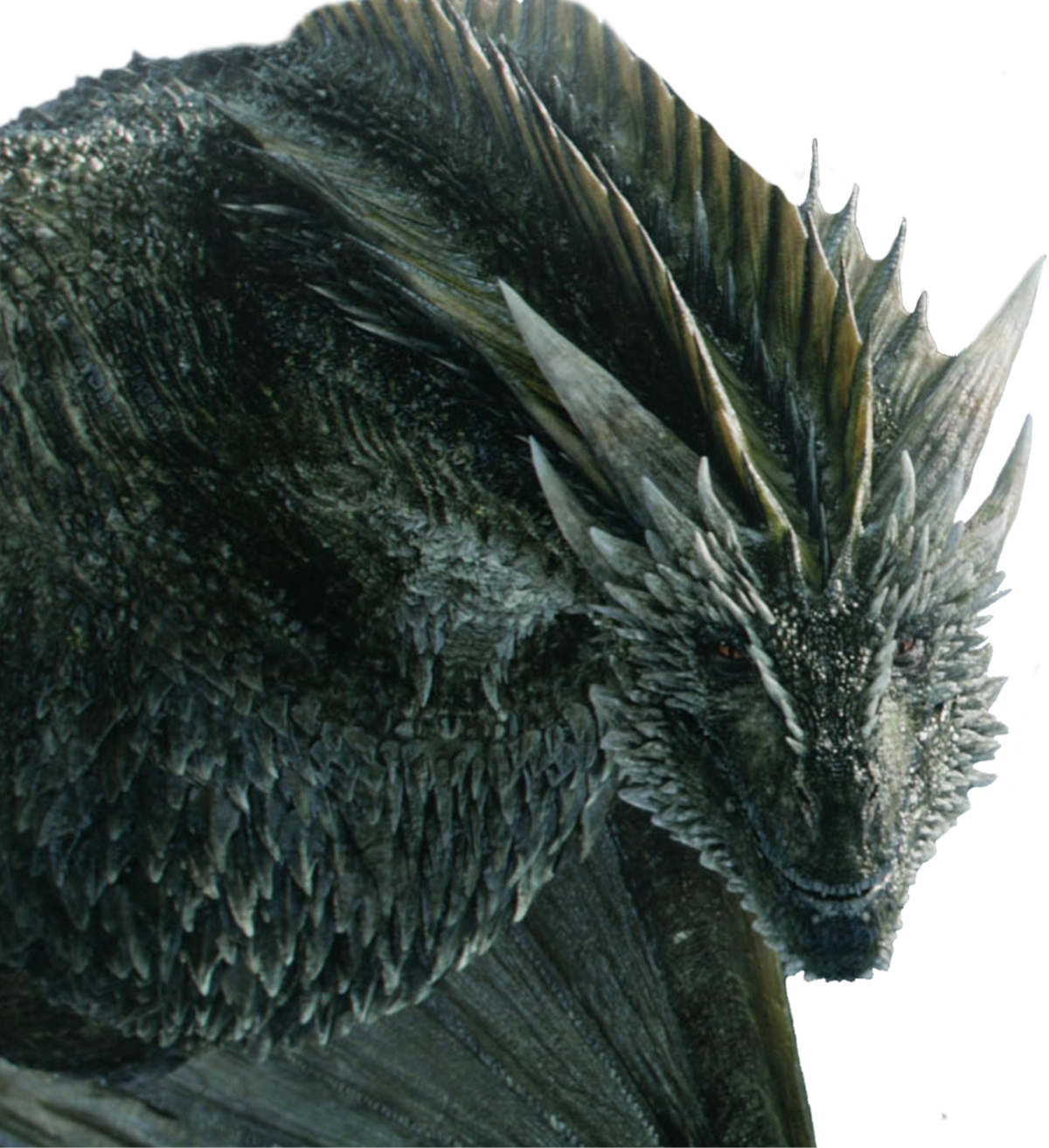 Rhaegal Vs Battles Wiki Fandom