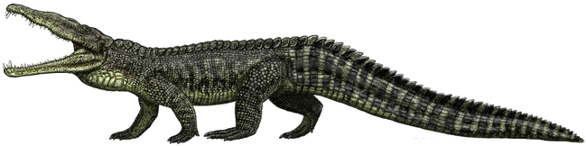 Smilosuchus | VS Battles Wiki | Fandom