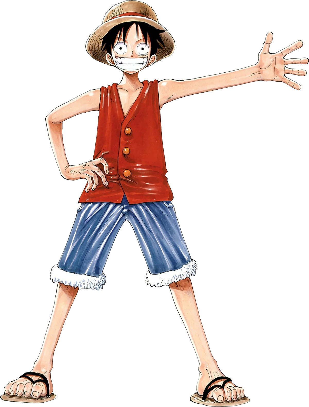 Luffy One Piece Time Skip