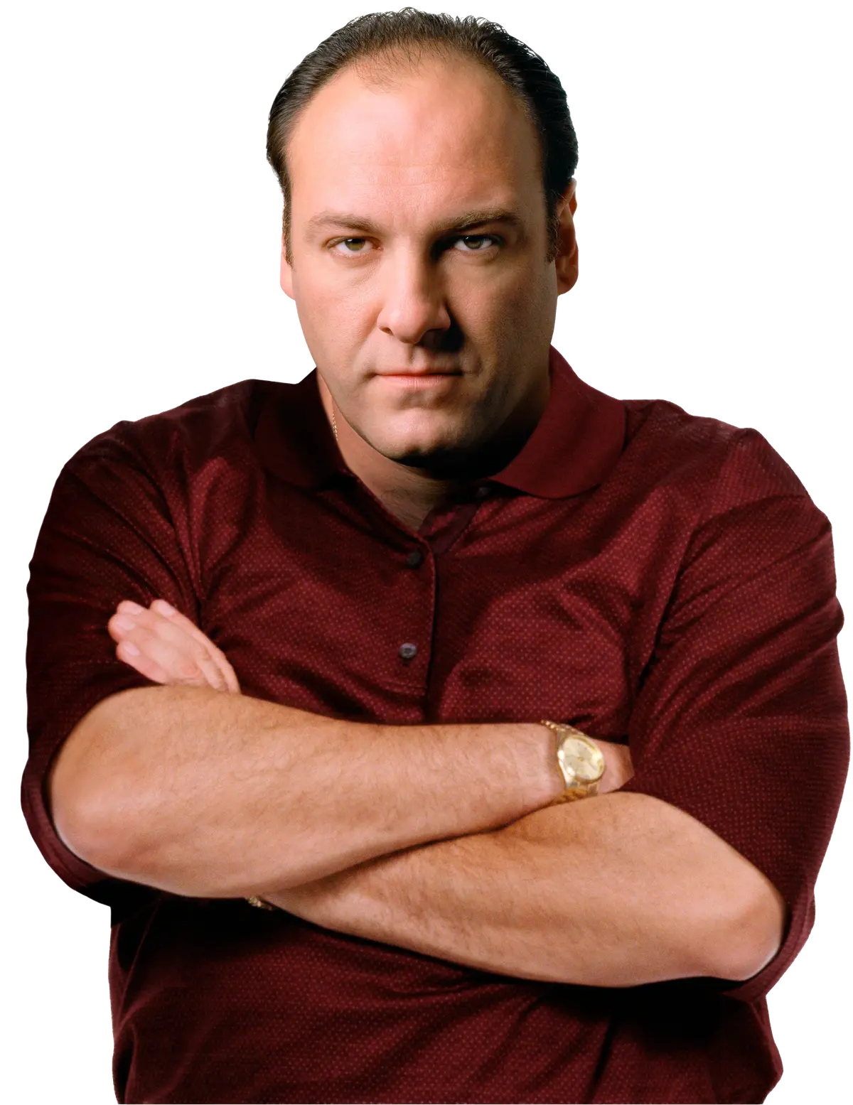 Tony Soprano | VS Battles Wiki | Fandom