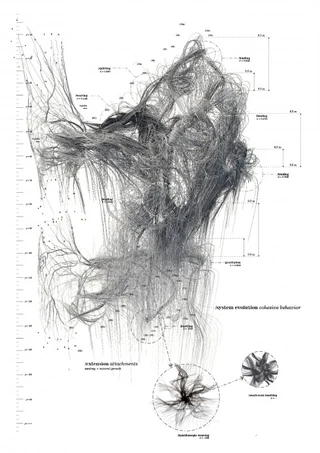 User blog:Backbackback/Ceallagh Yahui | VS Battles Wiki | Fandom