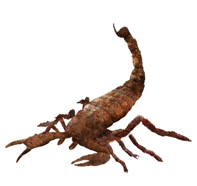 brontoscorpio length