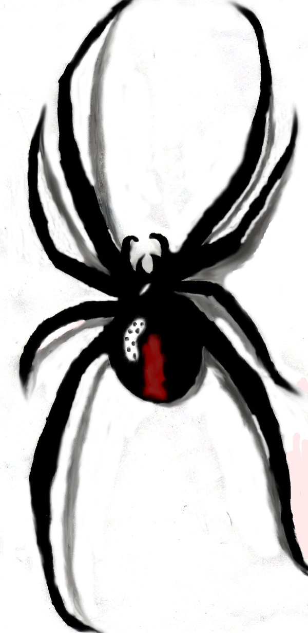 User blog:Apex Predator GX/Giant Spider (MonsterVerse) | VS Battles ...