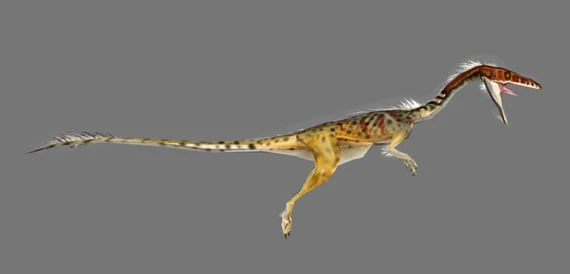 Carnivores | VS Battles Wiki Forum