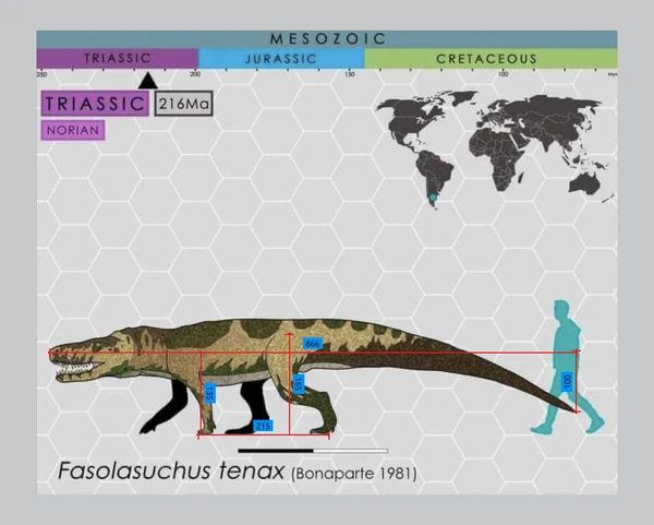 User blog:JohnGojira/Pseudosuchian apex predators, Traissic rulers calcs | VS Battles Wiki | Fandom
