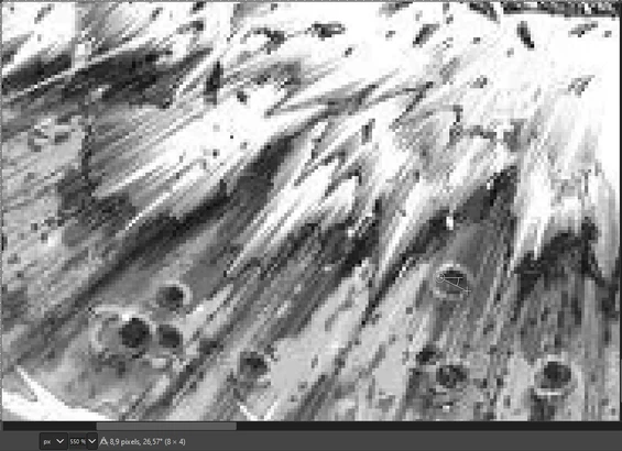 User blog:EnderLord8/Boros ship size (Amazing calculus) | VS Battles ...