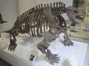 Scutosaurus | VS Battles Wiki | Fandom