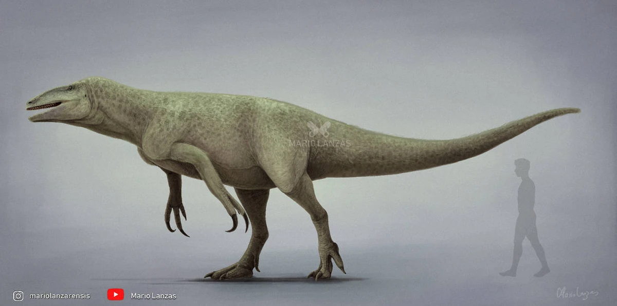 Maip macrothorax | VS Battles Wiki | Fandom