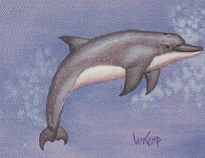 Dolphin (Dungeons and Dragons) | VS Battles Wiki | Fandom