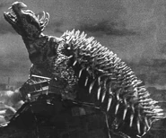 Anguirus (Showa) | VS Battles Wiki | Fandom
