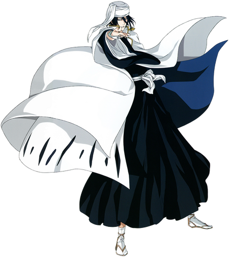 Byakuya Kuchiki | VS Battles Wiki | Fandom