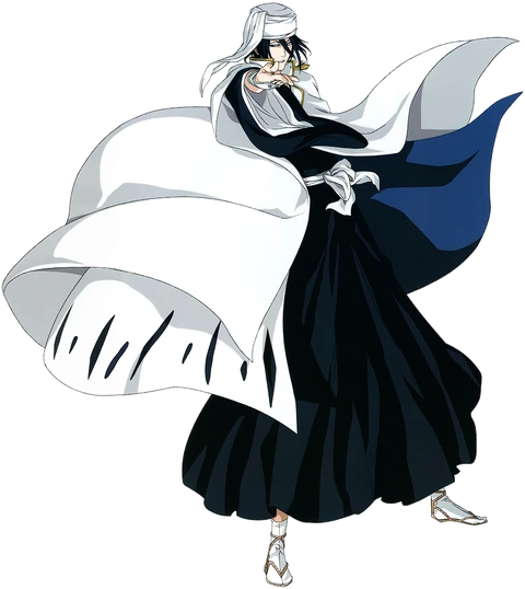 Byakuya Kuchiki | VS Battles Wiki | Fandom
