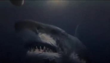 User blog:StrikerIsJustStriker/Mega Shark (Draft) | VS Battles Wiki ...