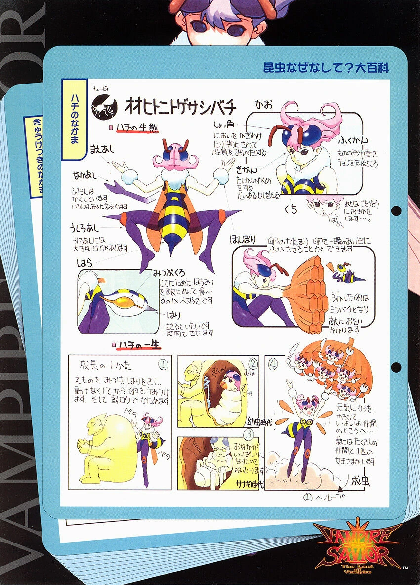 User blog:SamanPatou/Soul Bee Anatomy | VS Battles Wiki | Fandom