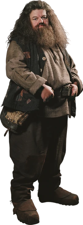 Rubeus Hagrid | VS Battles Wiki | Fandom